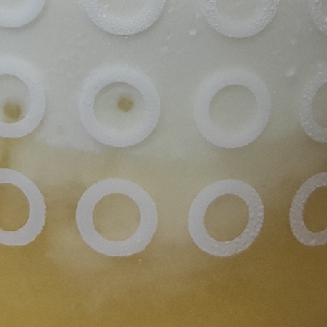 白兔没有糖味儿 