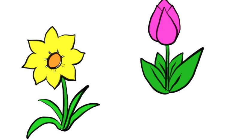 简笔画几种花朵,2分钟教程视频教小朋友轻松学画画,幼儿早教