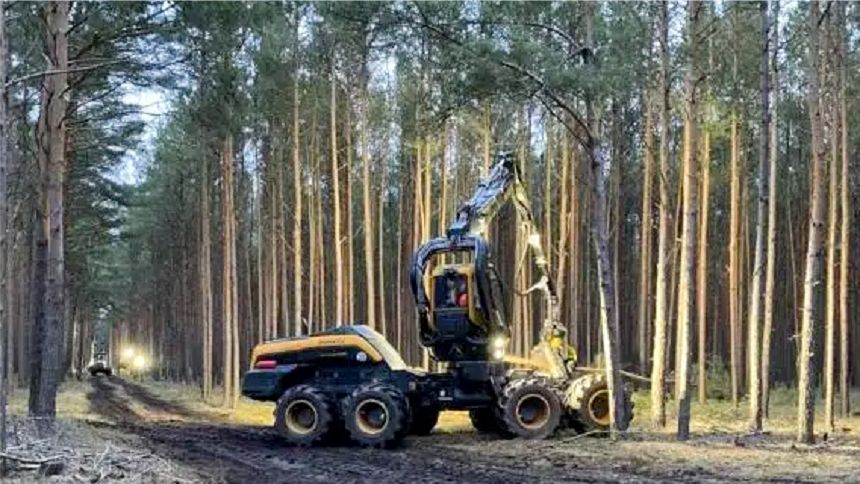 德国当局为特斯拉超级工厂砍伐森林再开绿灯,砍伐约82.8公顷森林