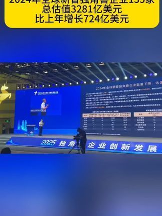 2024年全球新晋独角兽企业135家,总估值3281亿美元