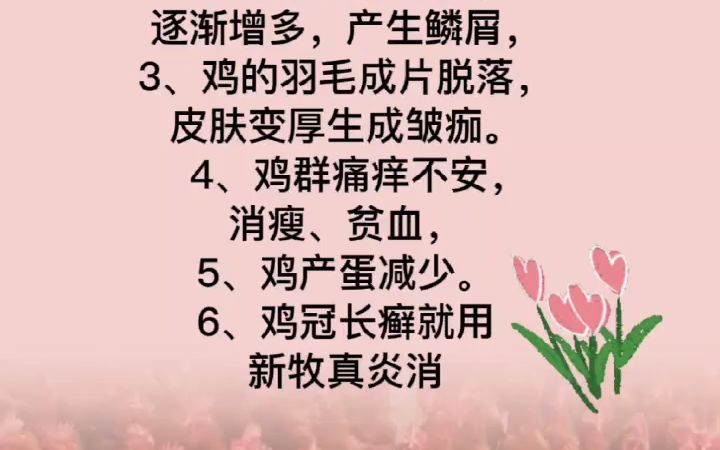 鸡冠长癣是什么原因 鸡冠癣应怎样防治 鸡冠发黄水泡是啥原因 鸡冠长...