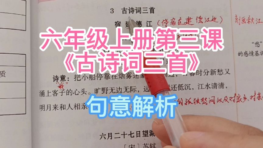 六年级上册第三课《古诗词三首》句意解析
