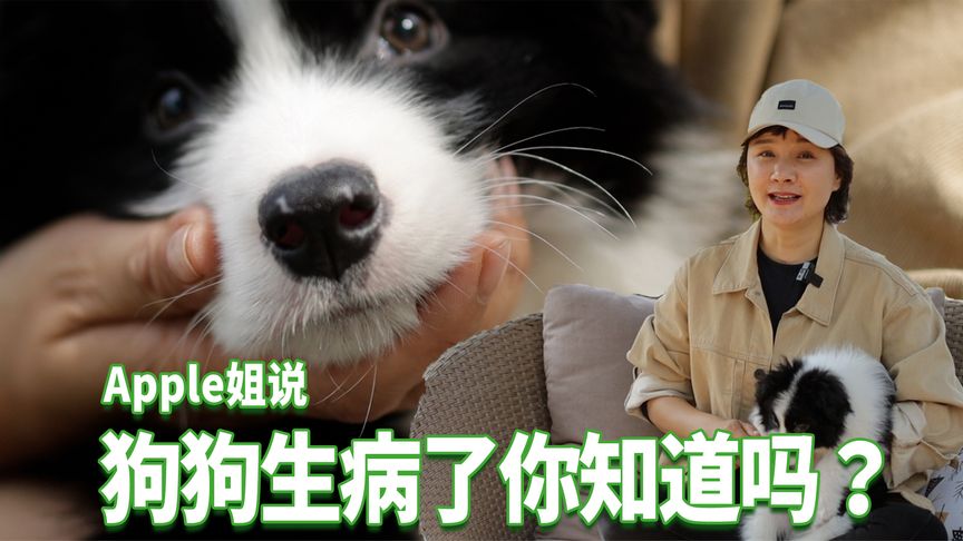 小狗狗哪些症状代表生病了