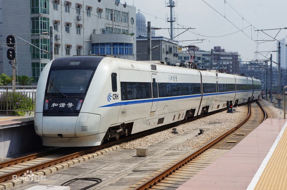 D3239 南京南到厦门北 CRH1A-200型列车平阳高铁站进站 庞巴迪...