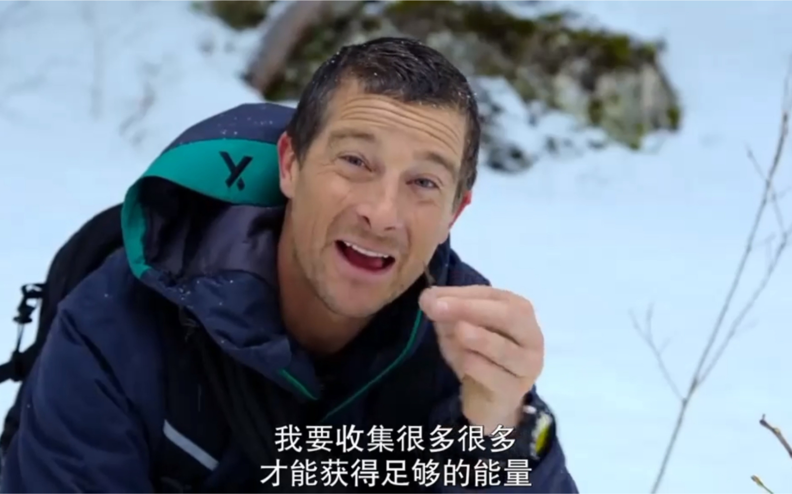 贝爷教你野外如何辨别方向