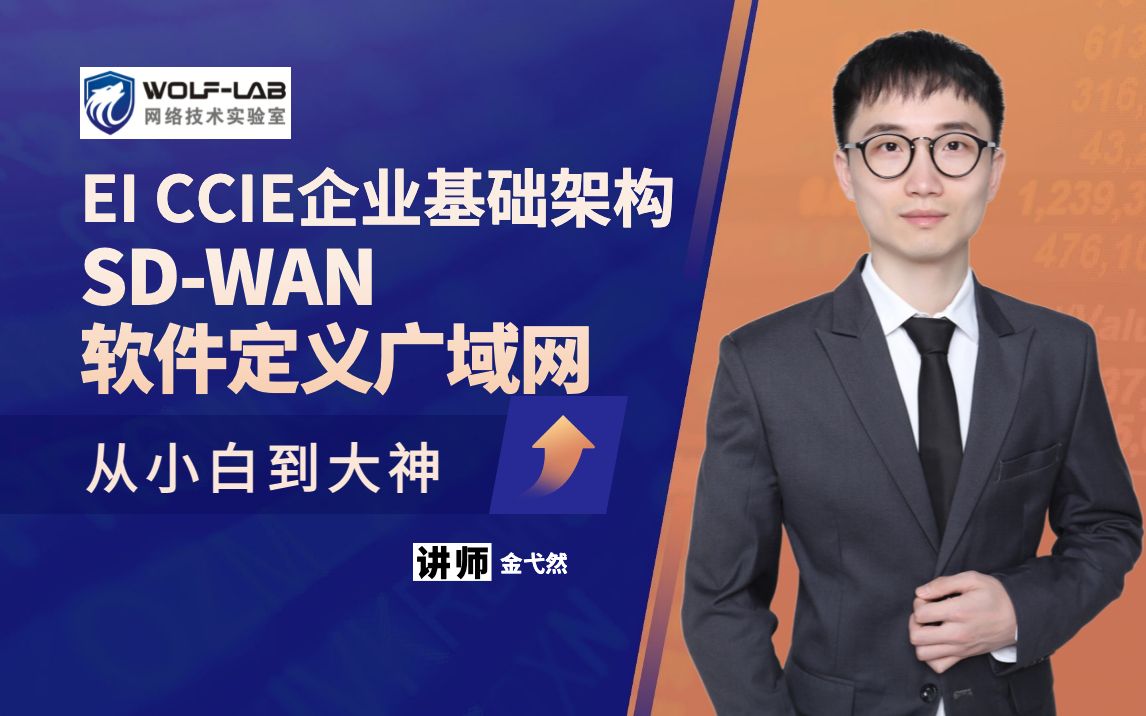 SD-WAN(软件定义广域网)控制层、编排层与数据层-EI CCIE课程