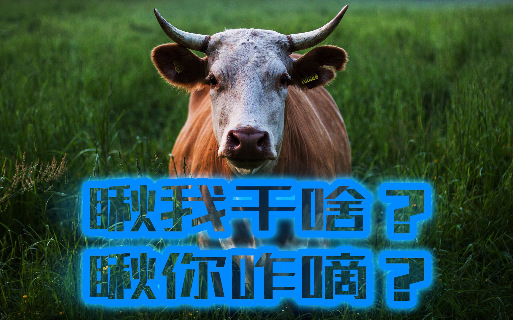 ps不透明度和不透明度的区别