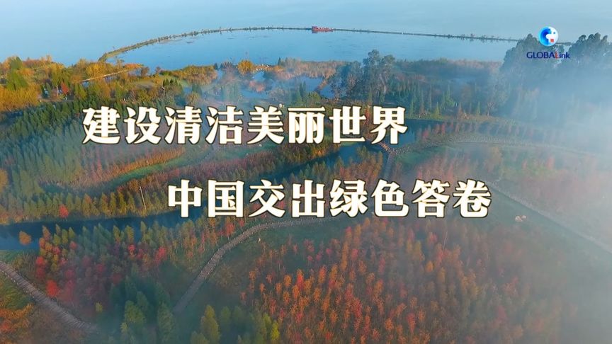 全球连线|建设清洁美丽世界,中国交出绿色答卷