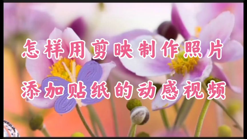 怎样用剪映制作照片添加贴纸的动感视频