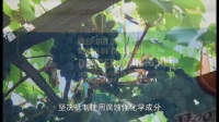 坚持绿色环保理念