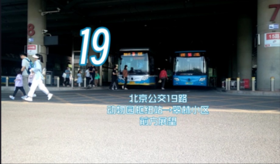 ...北京公交POV】19路 动物园枢纽站→翠林小区 前方展望 【无轨电车】