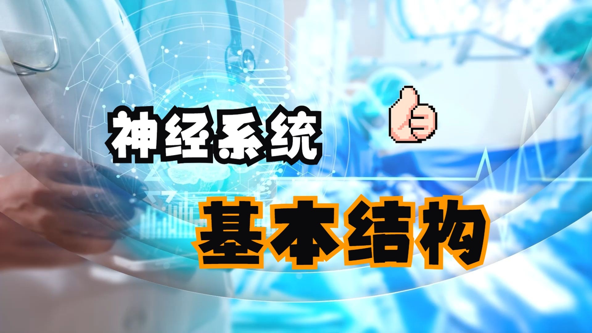 [微课视频]神经系统—基本结构