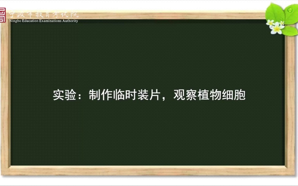 【宁波中考科学实验考试-规范操作视频】《综合分P》2021-2024通用