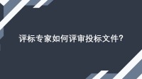 满分投标文件编制策略 第8集 评标专家如何评审投标文件?
