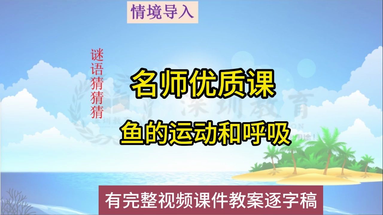 ...初中生物2020鱼的运动和呼吸:初中生物新课标学习任务群|名师优质...
