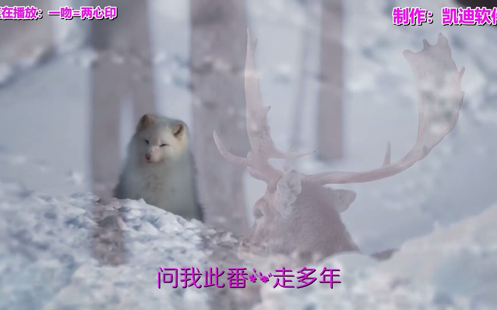 《一吻=两心印》欣赏,用什么软件下载车载mvdj音乐