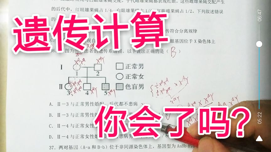 高中生物遗传题概率的计算,没学会的同学赶快进来补习一下吧