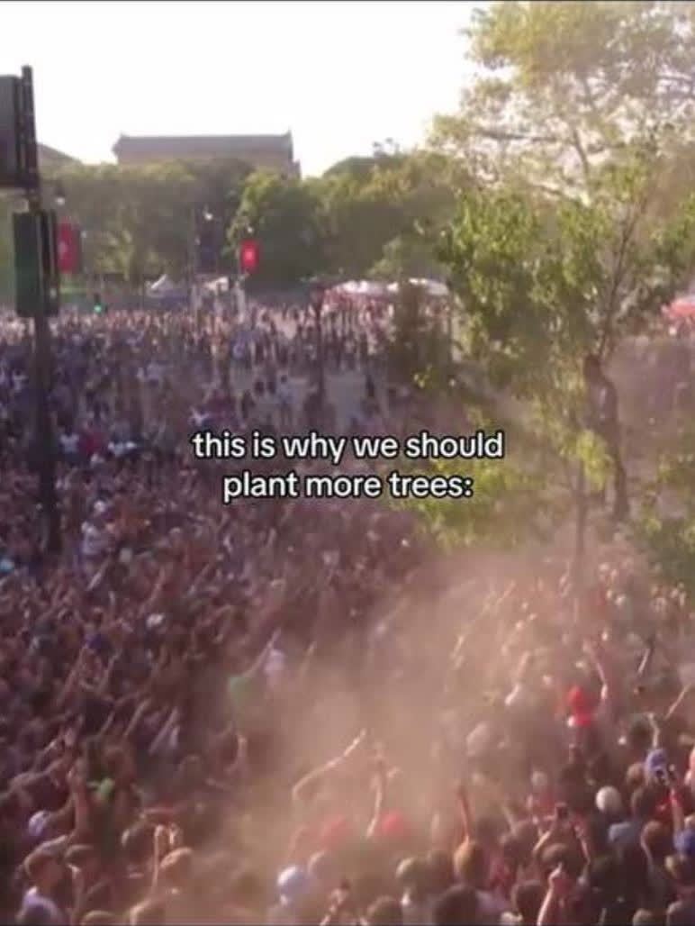 这就是为什么我们要种植更多的树木