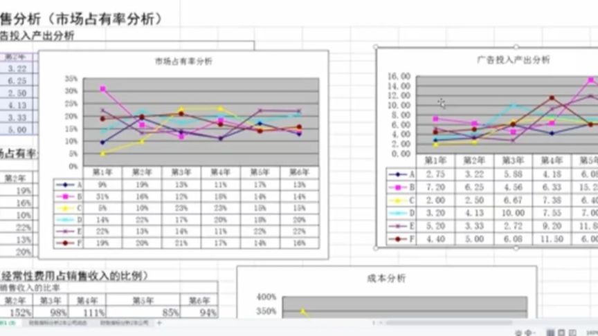 分享一个简单的财务分析动态图表格