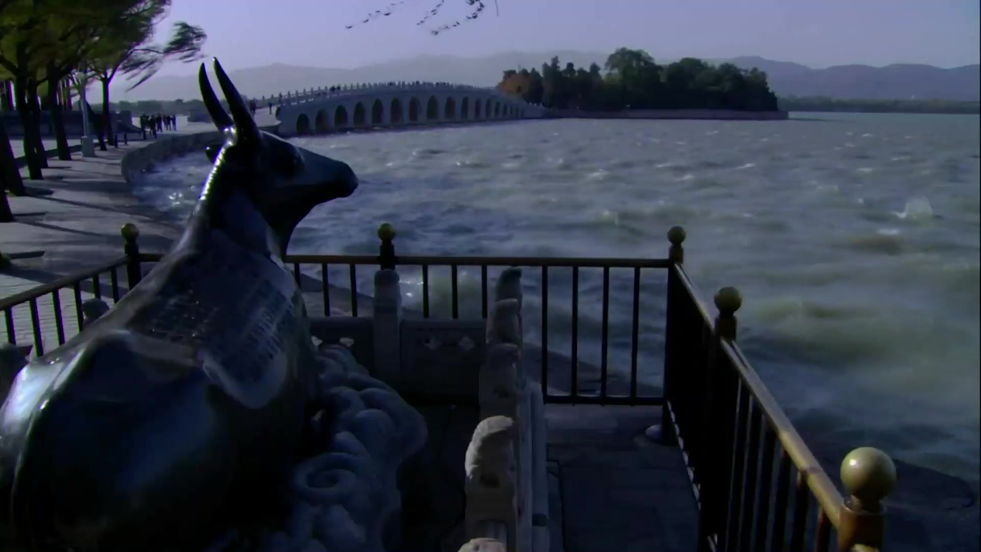 【摄影大赛】北京的小伙伴约起来