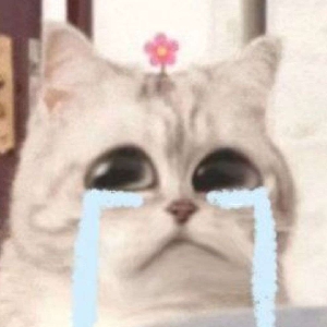哔哔欧克 
