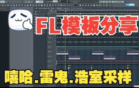《罗耳推荐 精品音源分享》[嘻哈雷鬼浩室采样FL-水果-工程模板]敌意-...