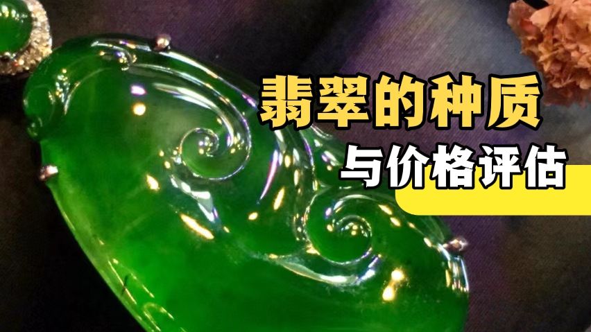 翡翠的种质和价格评估