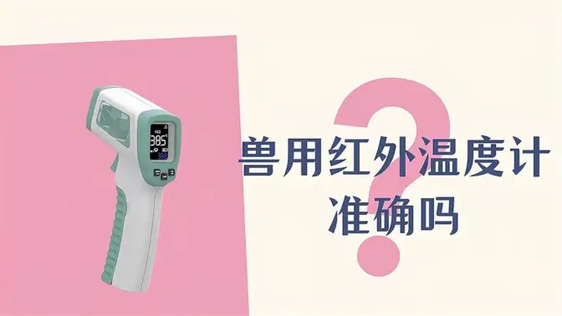 兽用红外线体温计,在养猪中给猪测体温,到底准确吗?