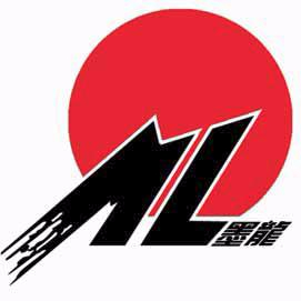 山东墨龙石油机械股份有限公司 