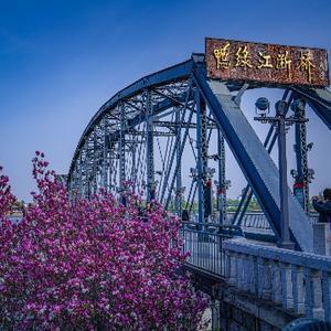 小板登