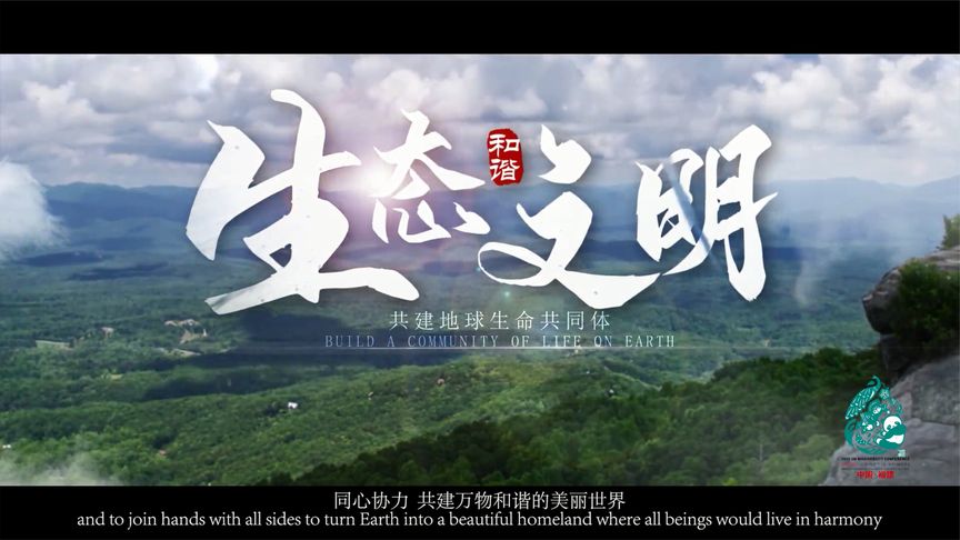 保护生物多样性主题宣传片大联展 福建篇:处处皆诗境 时时有物华