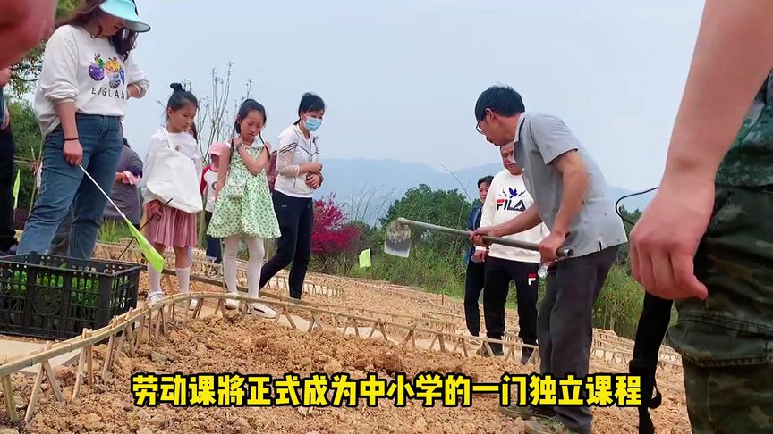 教育部印发《义务教育课程方案》