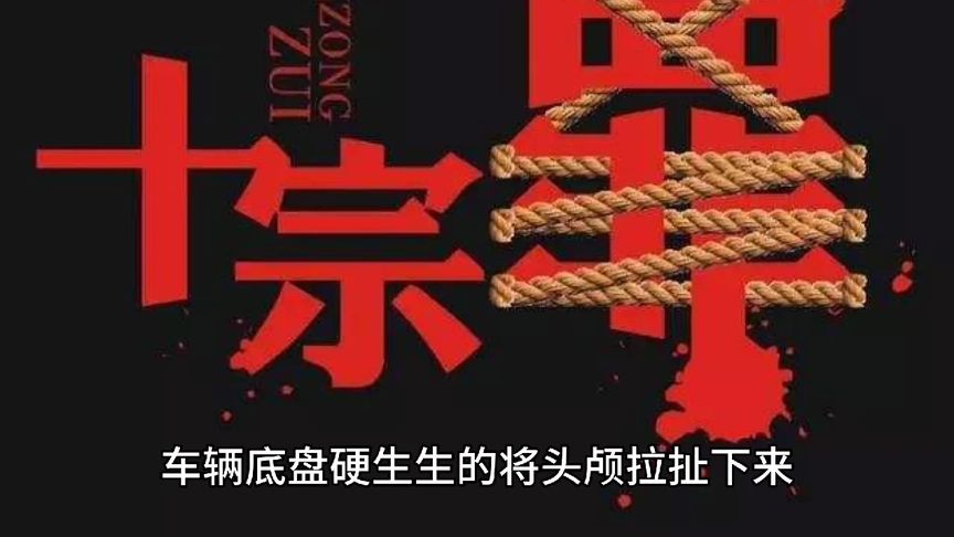 十大真实案件/十宗罪第一部: 肢体雪人之冰雪玫瑰①音频字幕版