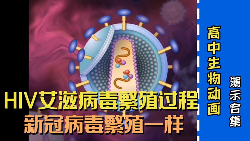 高中生物动画演示合集——HIV艾滋病毒繁殖过程,新冠病毒一样