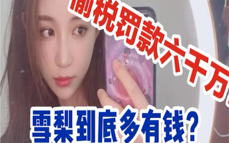 偷税罚款六千万!雪梨到底多有钱?