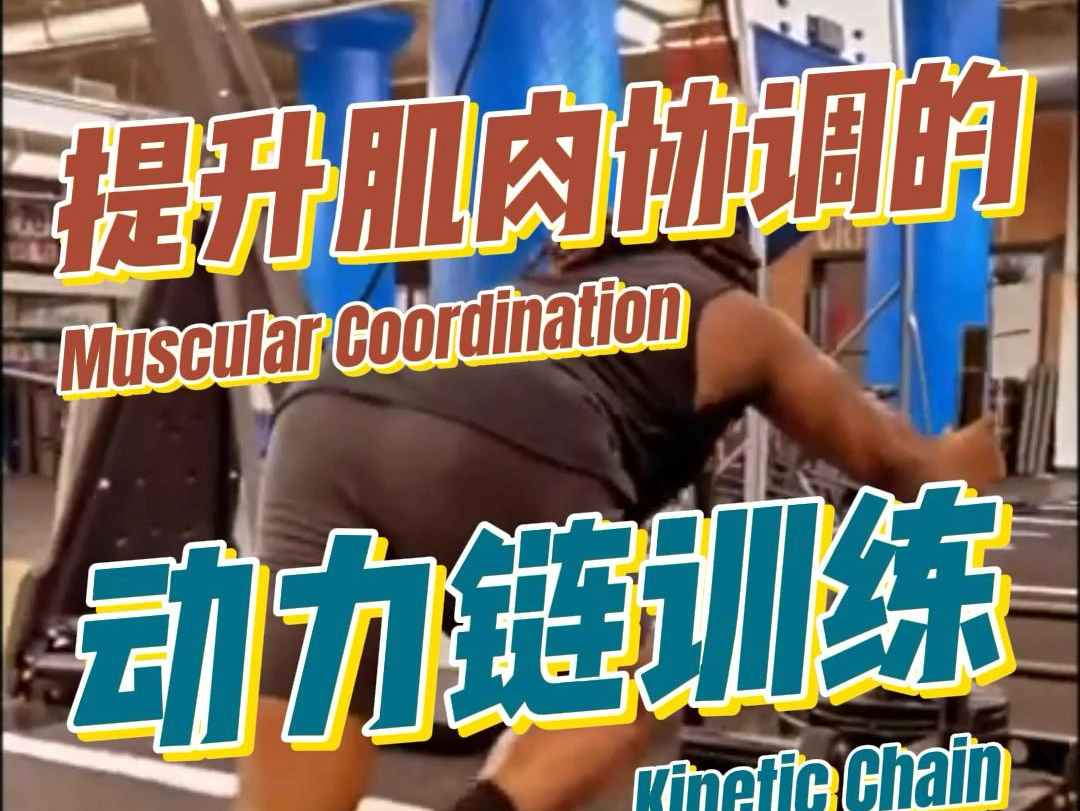 提升肌肉协调的动力链训练