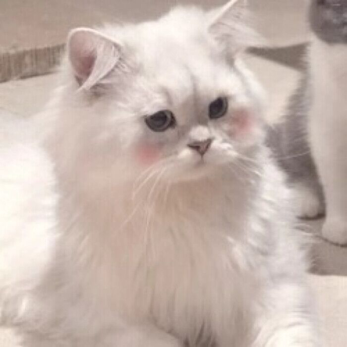 插画教程__ 