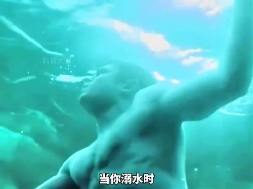 如果你溺水了该如何自救