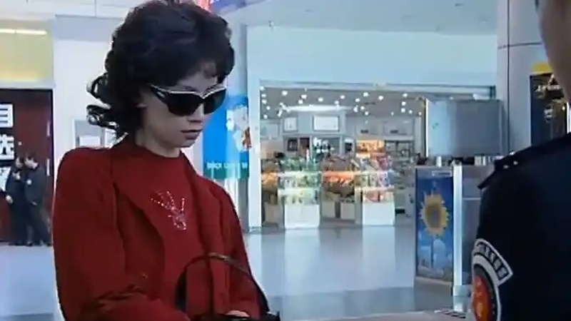 国家机密:姑娘把赃物藏着假发里,以为警察找不到,结果精彩!