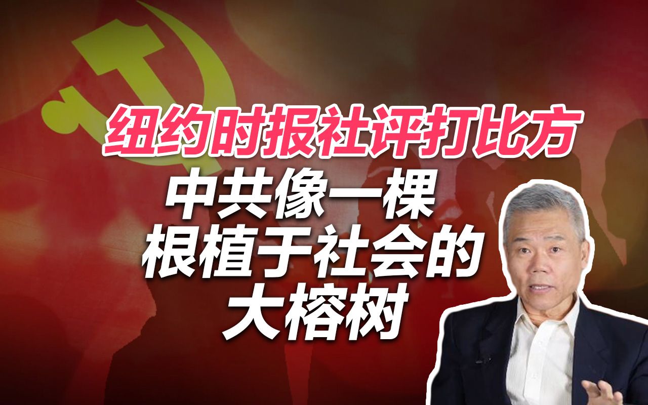 司马南:纽约时报社评打比方,中共像一棵根植于社会的大榕树