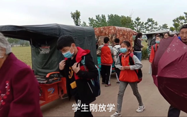 神兽开学后的第一个礼拜天