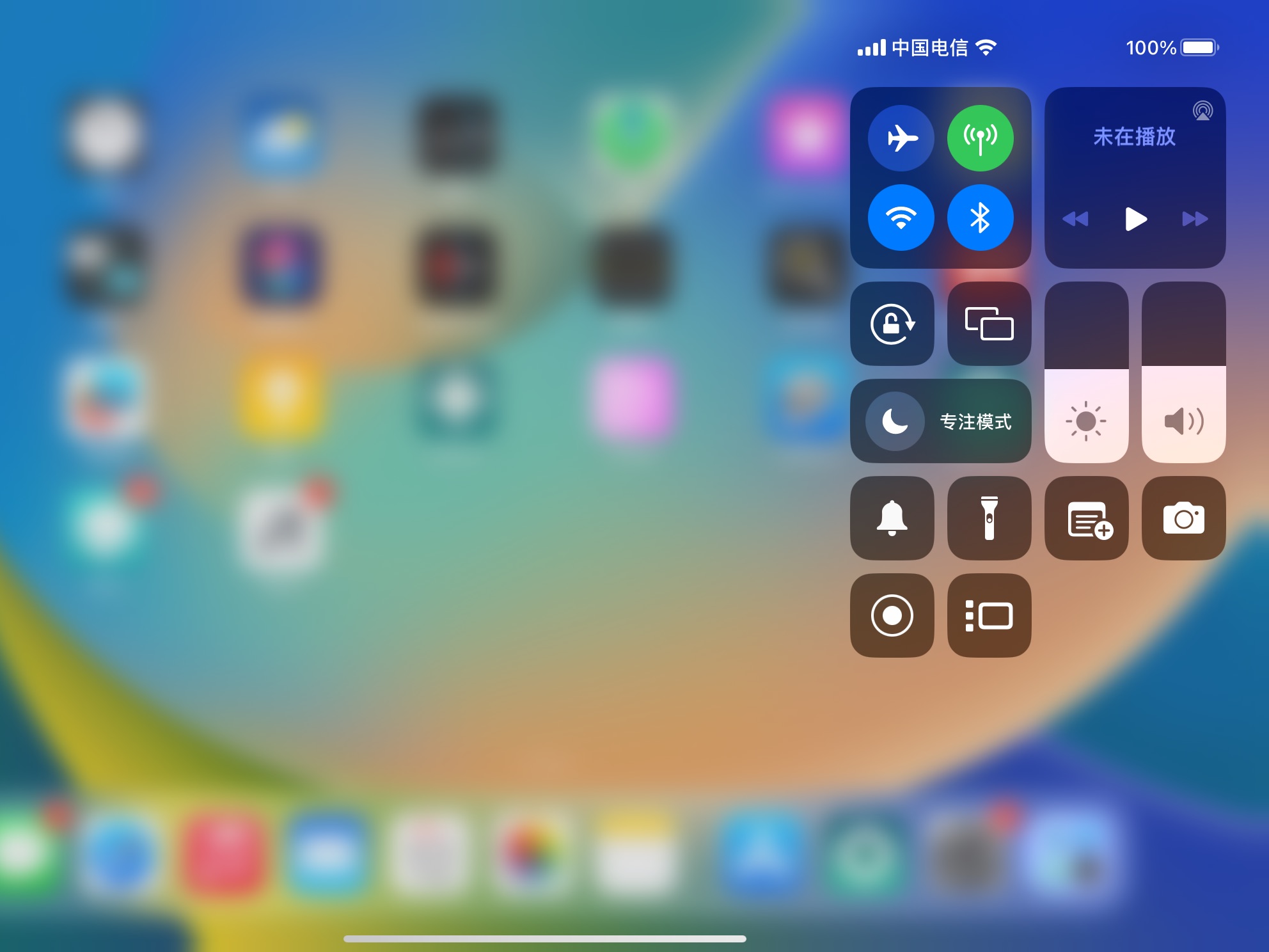 Pad mini 6 越狱后强开台前调度