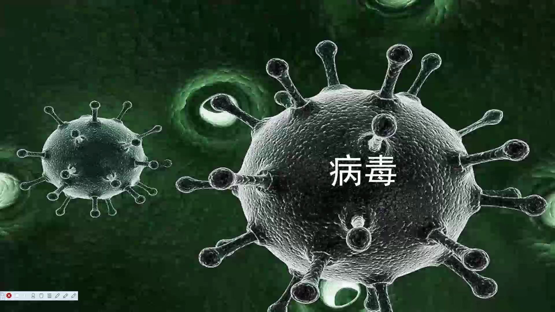 《病毒的结构和生活》微课
