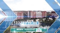 云南经济管理学院新闻播音专业招生宣传片