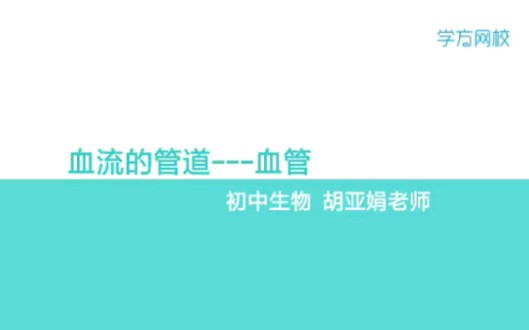 初中生物:血流的管道-血管