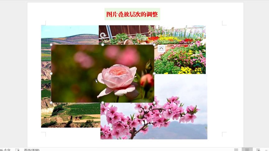 word怎样调整图片的叠放层次?可随意排序,让好图片显示在前面