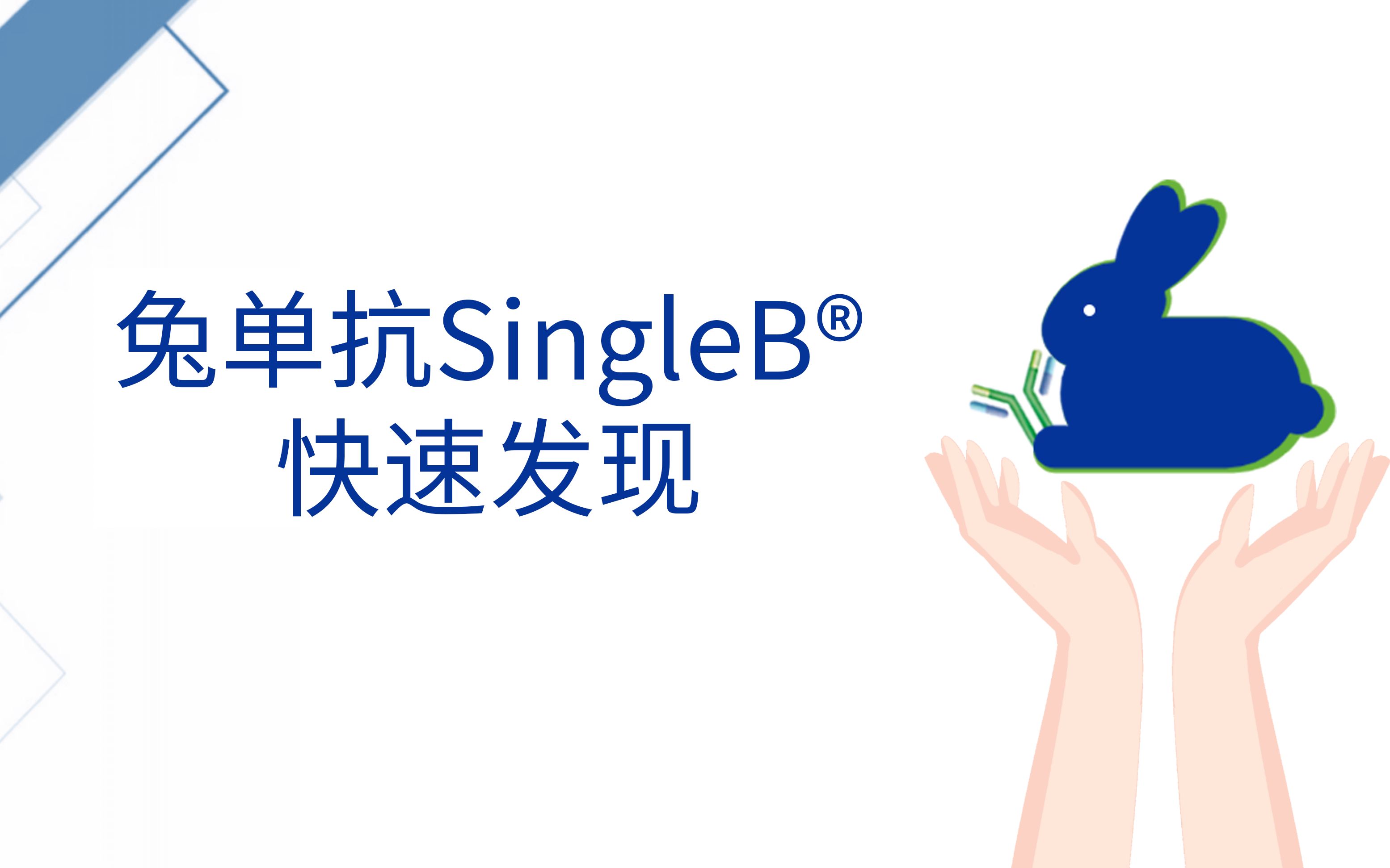服务推荐 | 兔单抗SingleB®快速发现