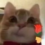 传说小憩 