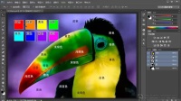室内设计表现 丝质毛绒地毯的制作 PS效果图后期制作
