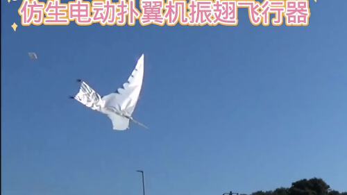 仿生电动扑翼机